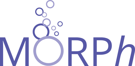 Morph Team – Morph Consultancy