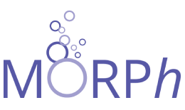 Respiratory Academy – Module 7, 11/02/2025 – Morph Consultancy